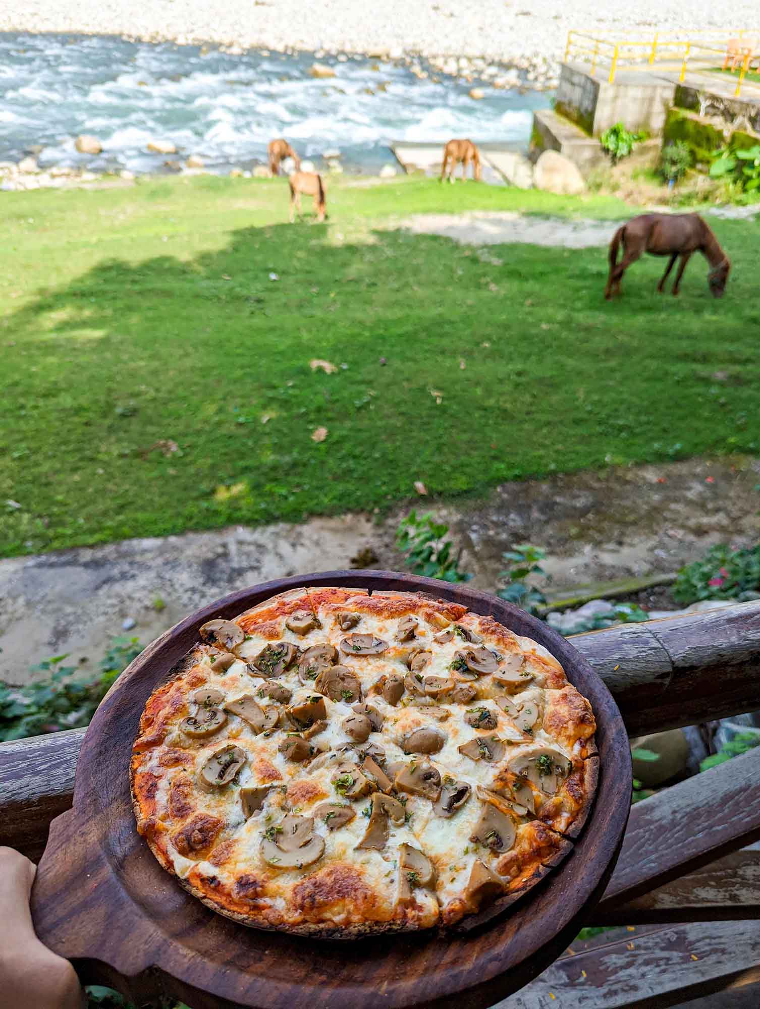 The Kosi Deck - dine by Kosi River in Jim Corbett - ChompSlurrpBurp